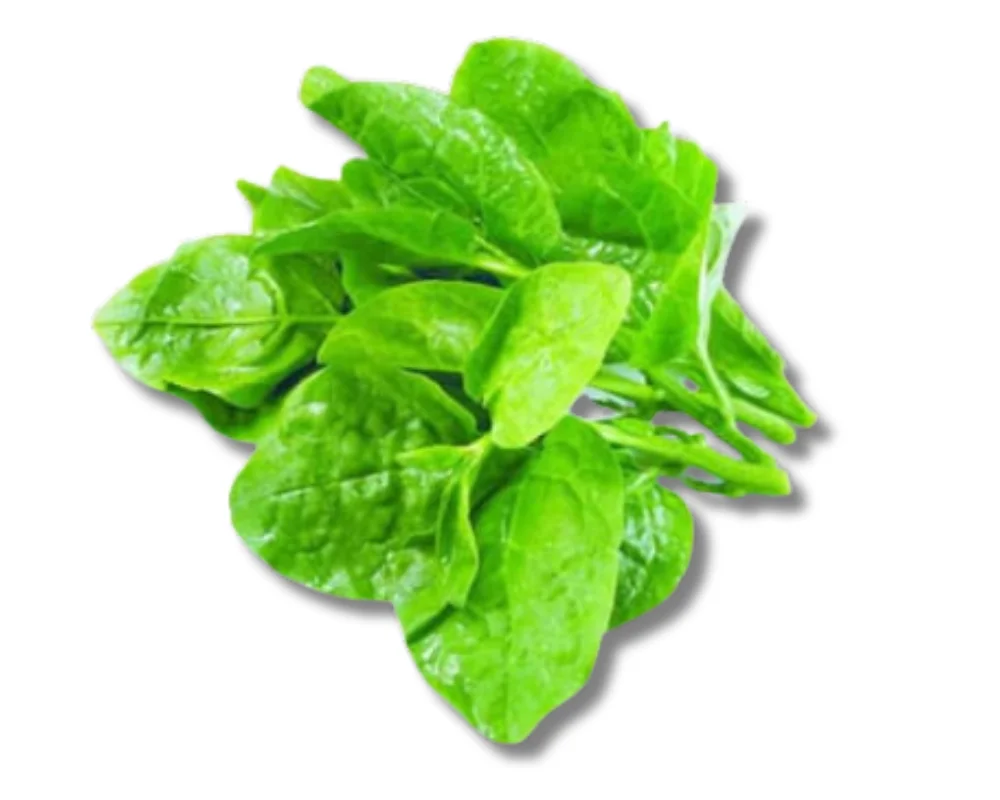 Shop Pui Shak (Malabar Spinach) at Shwapno.com | Shwapno Online Grocery ...