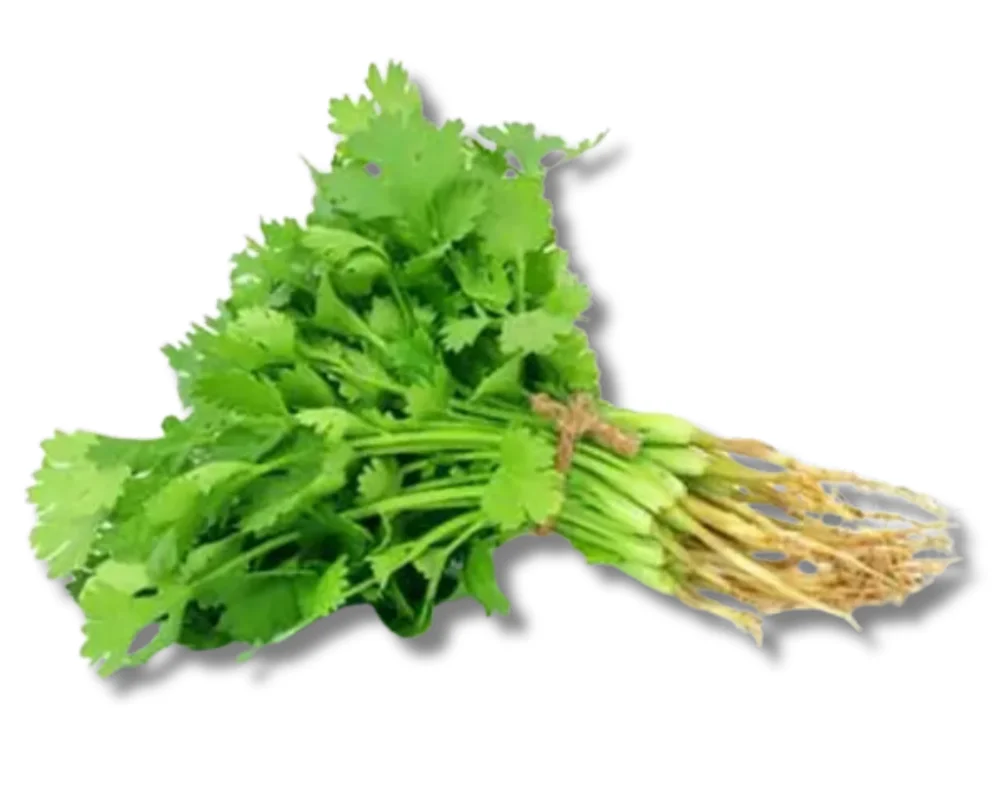 Shop Dhoniapata (Coriander Leaf) Local at Shwapno.com | Shwapno Online ...