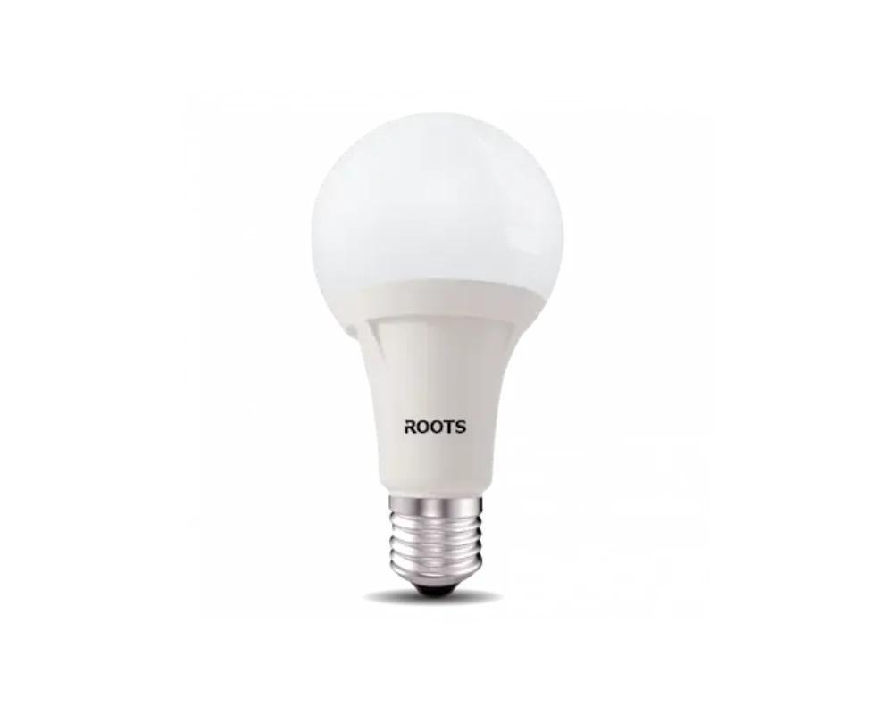 Shop ROOTS LED 03W DAYLIGHT BULB PATCH at Shwapno.com | Shwapno Online ...