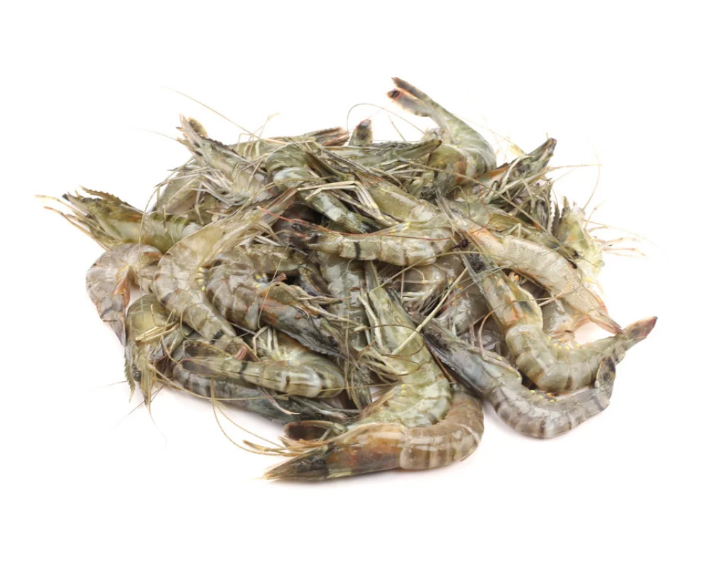 Shop Bagda Chingri Medium at Shwapno.com | ঢাকা, চট্টগ্রাম, কুমিল্লা ও সিলেটে স্বপ্নের অনলাইন ...