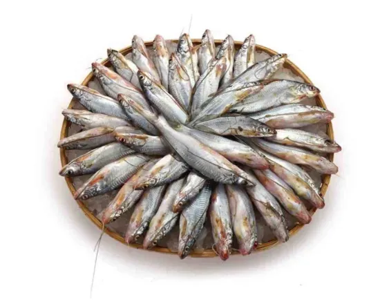 Shop Gulsha Fresh Local Cultured (55-65 Pcs/kg) at Shwapno.com ...