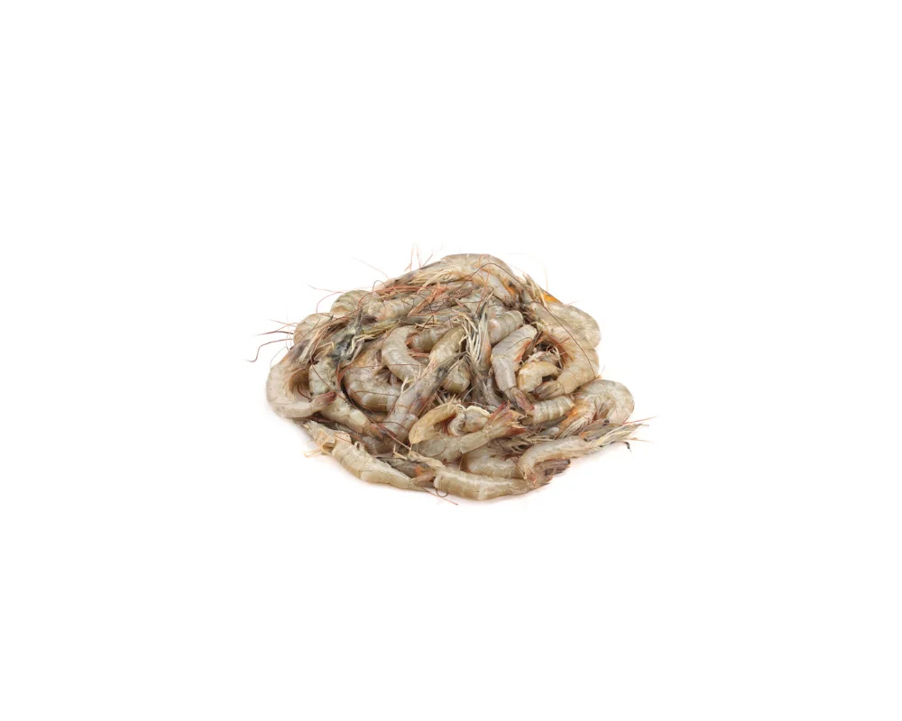 Buy Horina Chingri Captured Medium (P) Online at Best Price | Shwapno.com - Online Grocery ...