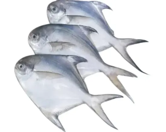 Shop Rupchanda (Promfret) Fresh Local Captured (3-4 Pcs/kg) at Shwapno ...