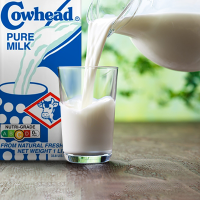 Liquid & UHT Milk | Shwapno Online Grocery Shopping in Dhaka ...