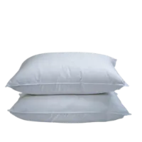 Shop Imp Fiber Pillow Premium (Buy1 Get1 Free) at Shwapno.com | Shwapno ...
