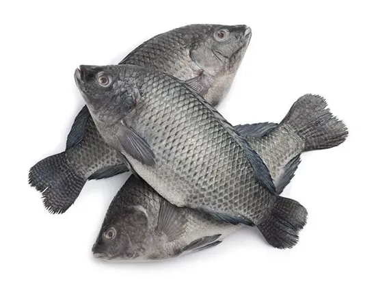 Telapiya (4-5)Pcs 1kg | ঢাকা, চট্টগ্রাম, কুমিল্লা ও সিলেটে স্বপ্নের ...