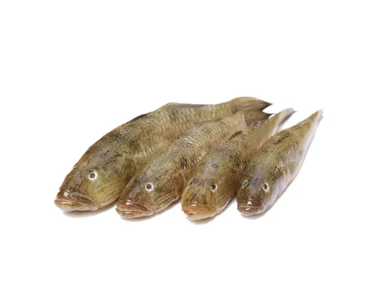 Shop Baila Gura Fresh Local Captured at Shwapno.com | Shwapno Online ...