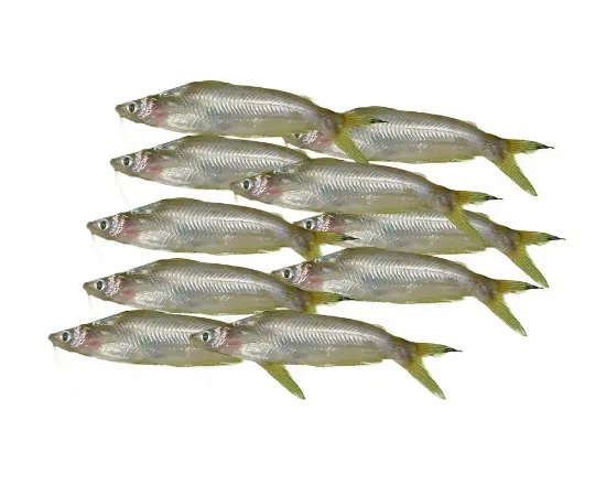 Shop Batashi Fish at Shwapno.com | Shwapno Online Grocery Shopping in ...